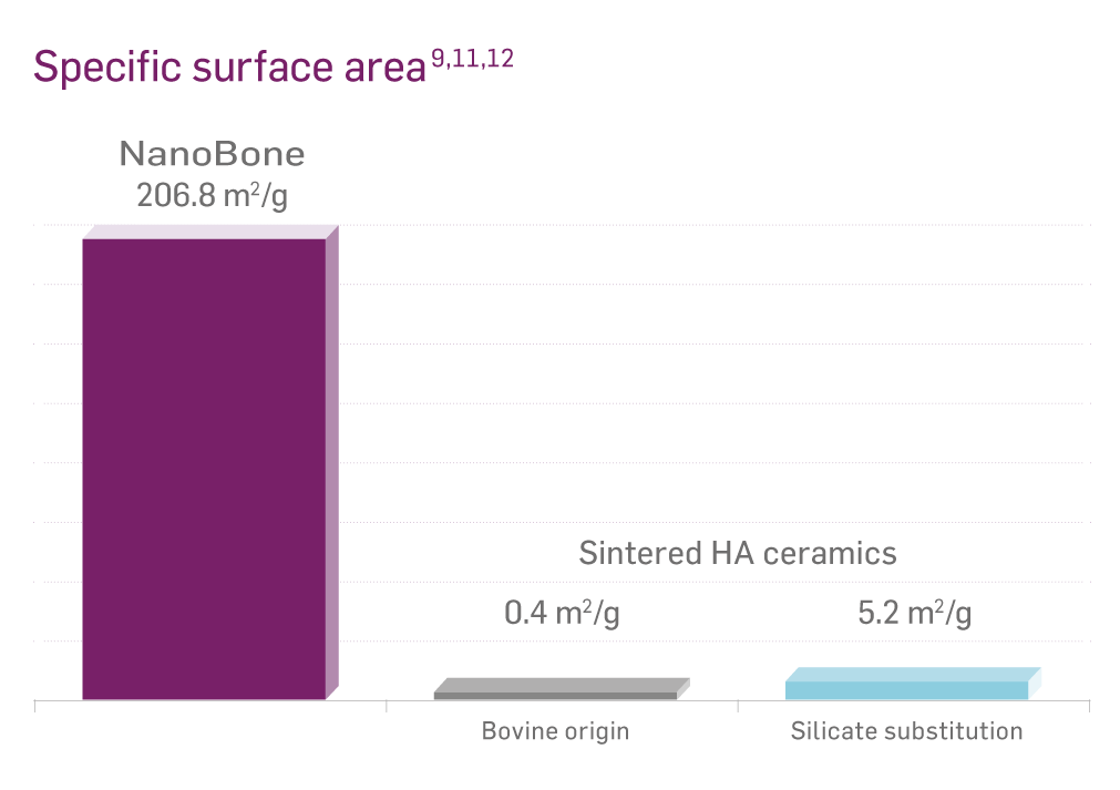 NanoBone® - Biocomposites